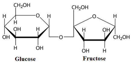 C12H22O11 - Đường Sucrose/ CHAI 500GAM - VietBioLab.com